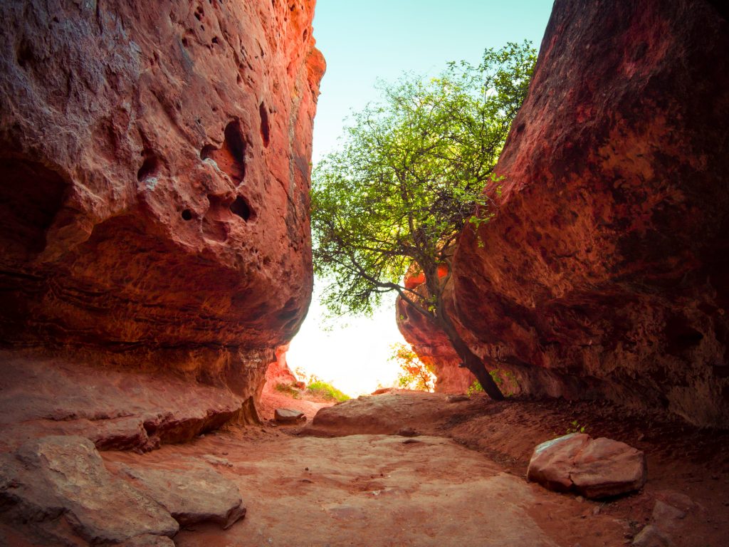 Dixie Rock 3-min - Prime Adventure